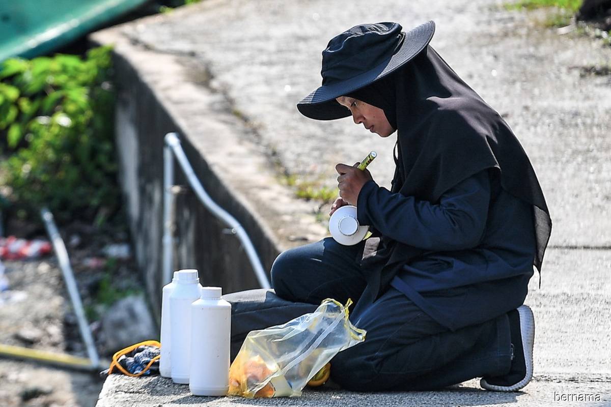 Contaminated mussels: Negeri Sembilan govt to study impact on fishermen ...