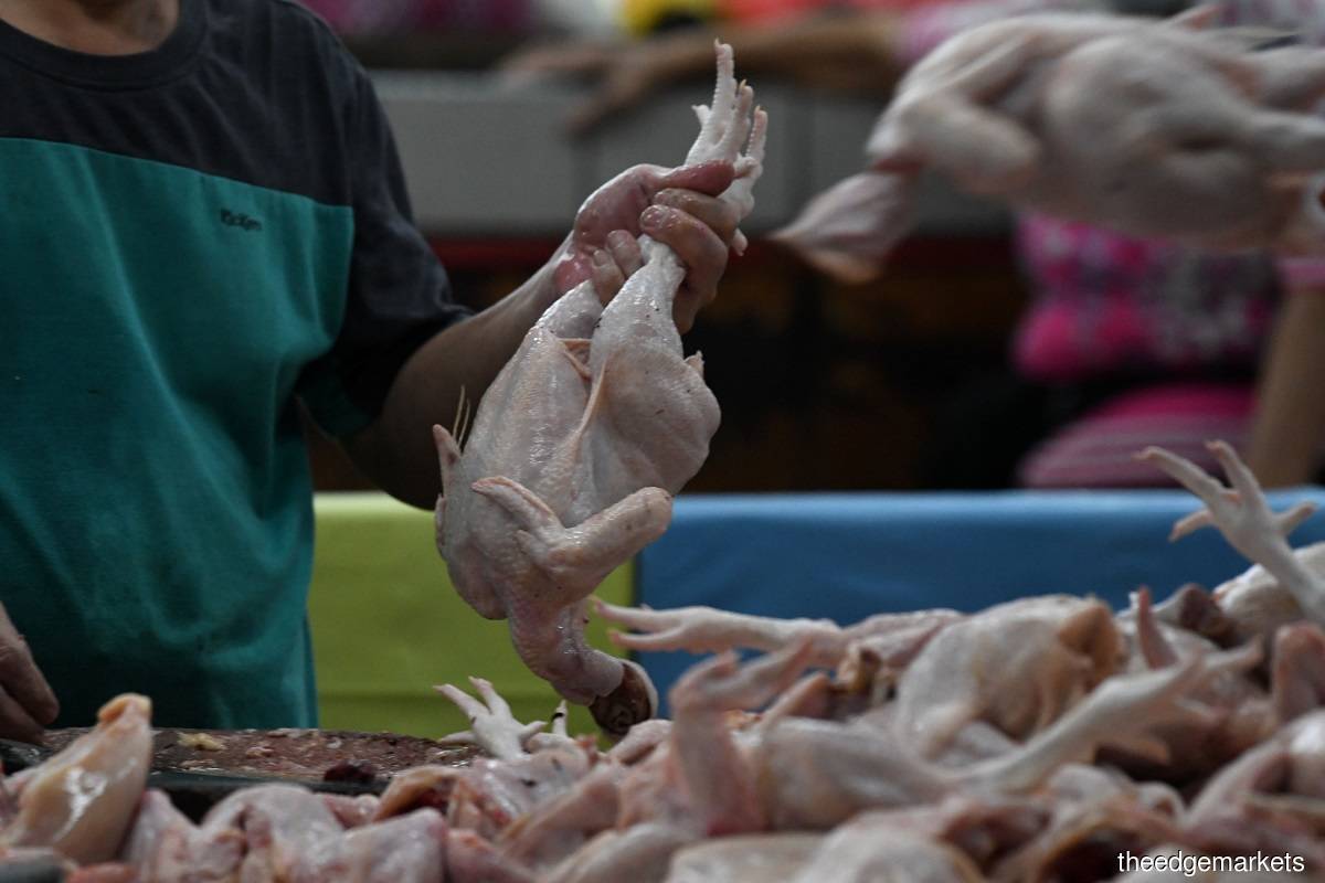 New ceiling price for chicken at RM9.40 per kg starting July 1