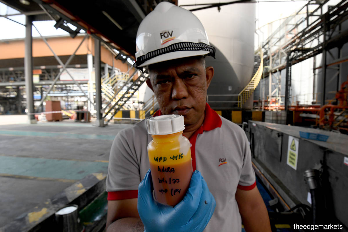 FGV aims to raise highest annual capex of more than RM1b for FY2023
