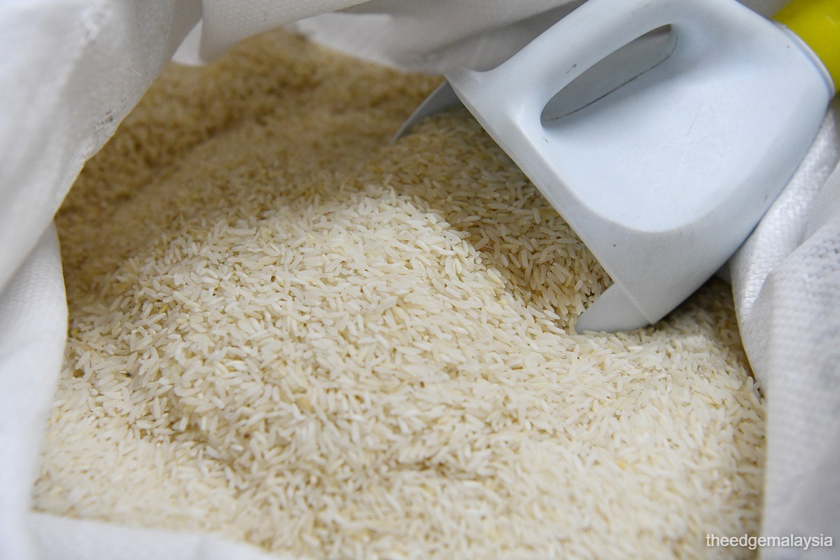 Asean+3-led agency releases strategic reserve rice to earthquake-hit ...