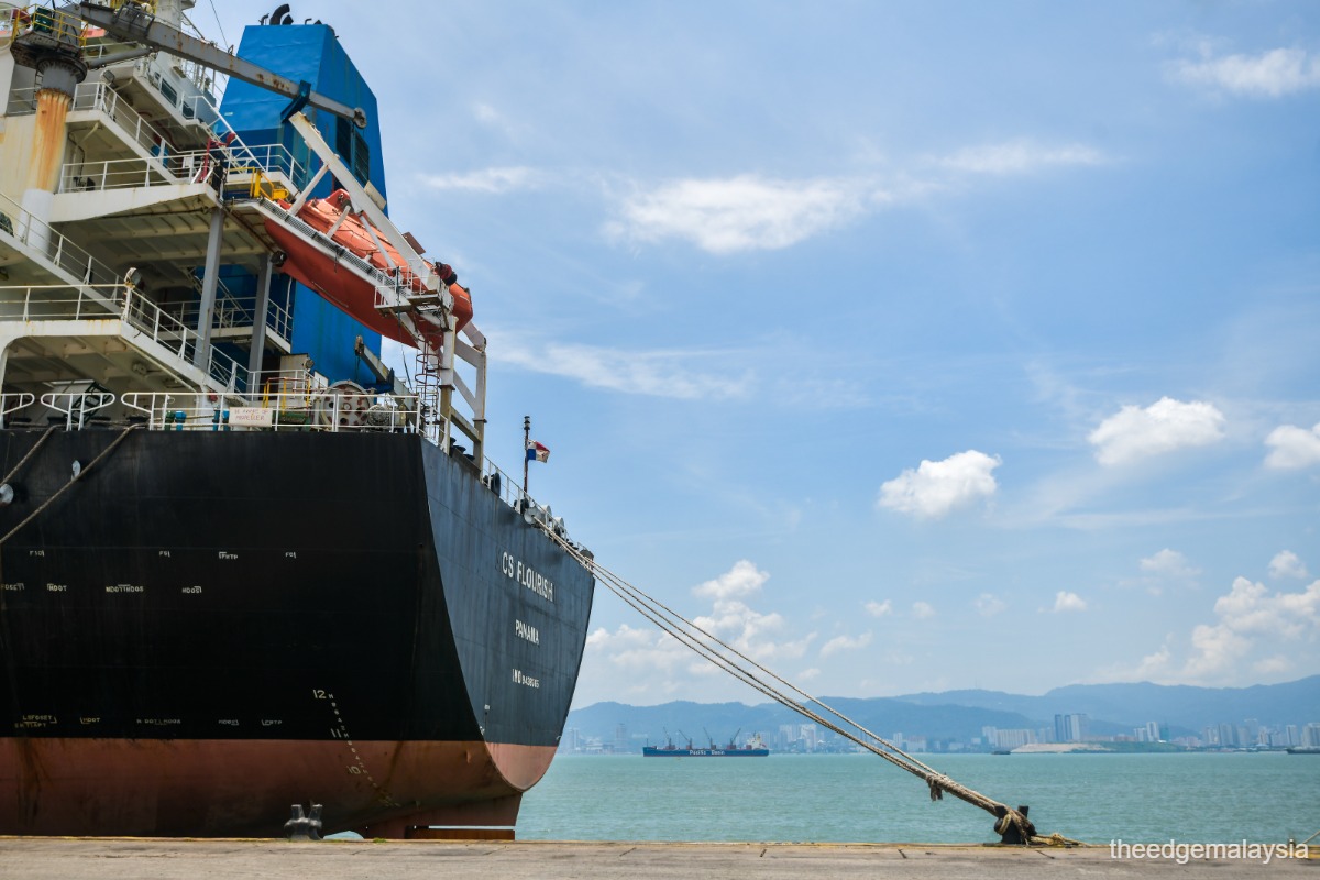 Malaysian maritime committee to review shipping and port privatisation ...