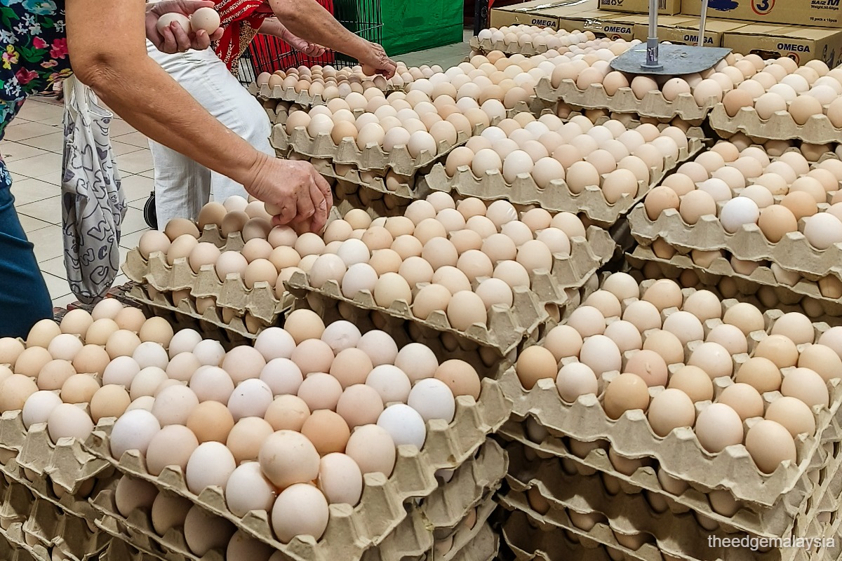 Ample supply of eggs to meet domestic demand — Mohamad Sabu | KLSE Screener