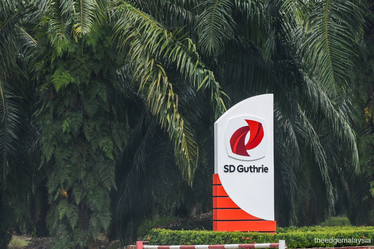 SD Guthrie 3Q net profit rises 22%, optimistic of strong 2025