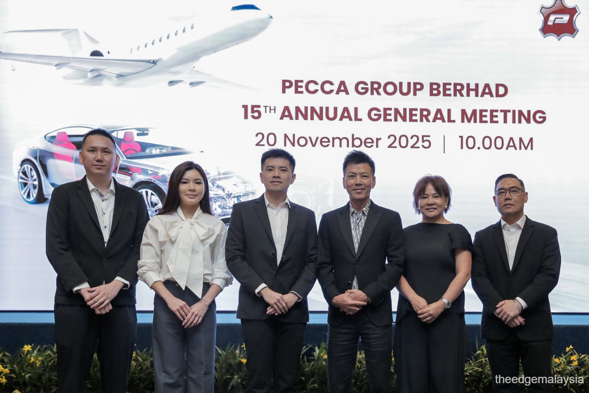 Pecca targets EV sales, full seat assembly, and aviation growth in FY2026