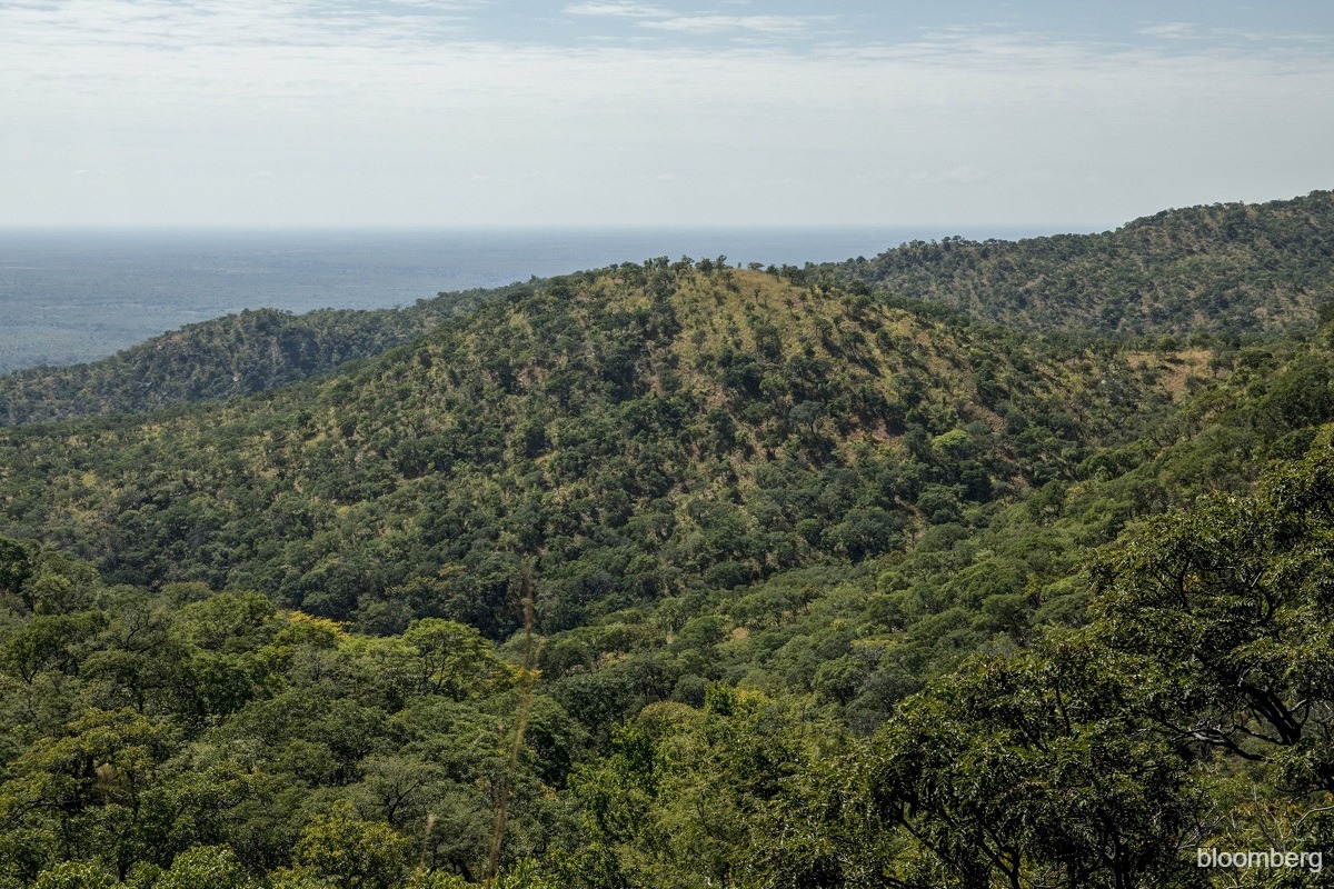 Safeguarding Indo-Malaya forests: RM177m conservation initiative ...