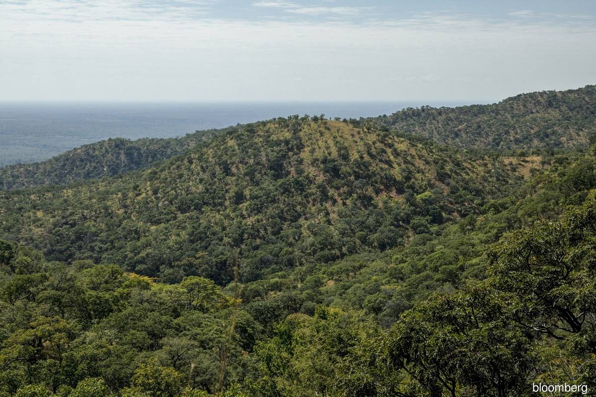 Conserving forests through innovative collaborations