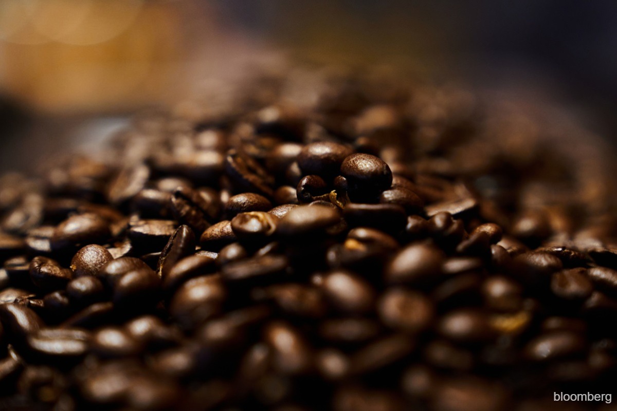 Malaysian cafe owners to rethink pricing strategies as coffee bean ...