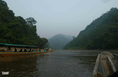 Swiss green group wants to stop Sarawak’s Baleh project