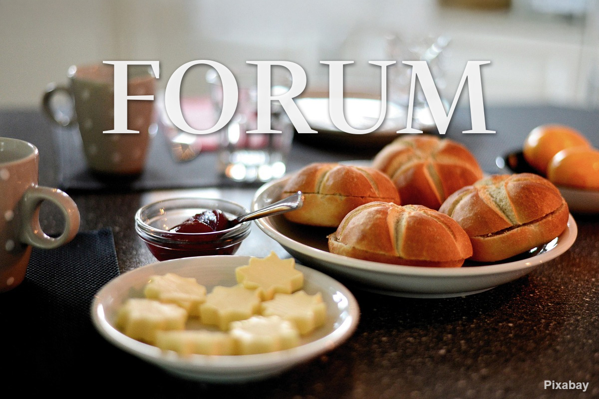 My Say: Planta — bridging divides: Malaysia’s love for a palm oil icon