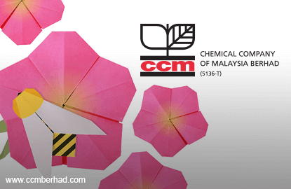 CCM slips into the red in 1Q as revenue, margin falls