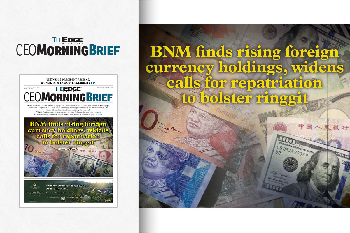 BNM finds rising foreign currency holdings, widens calls for ...