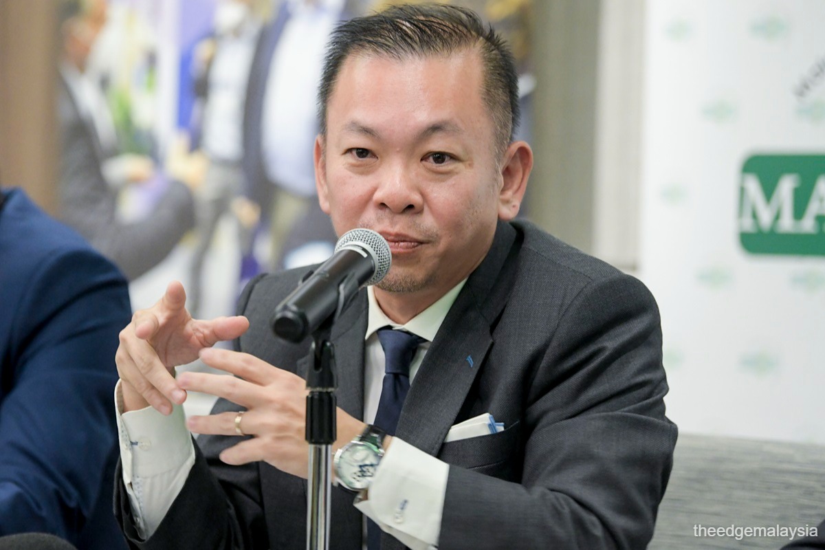 Draw up oil palm replanting plans to sustain productivity, deputy ...