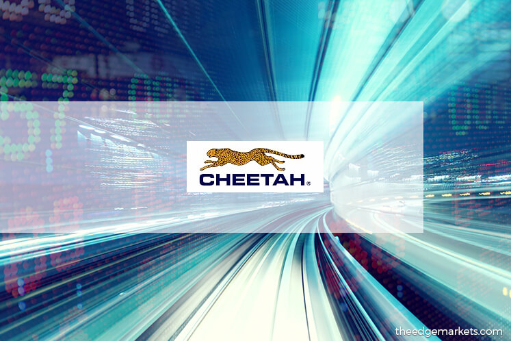 Stock With Momentum: Cheetah Holdings