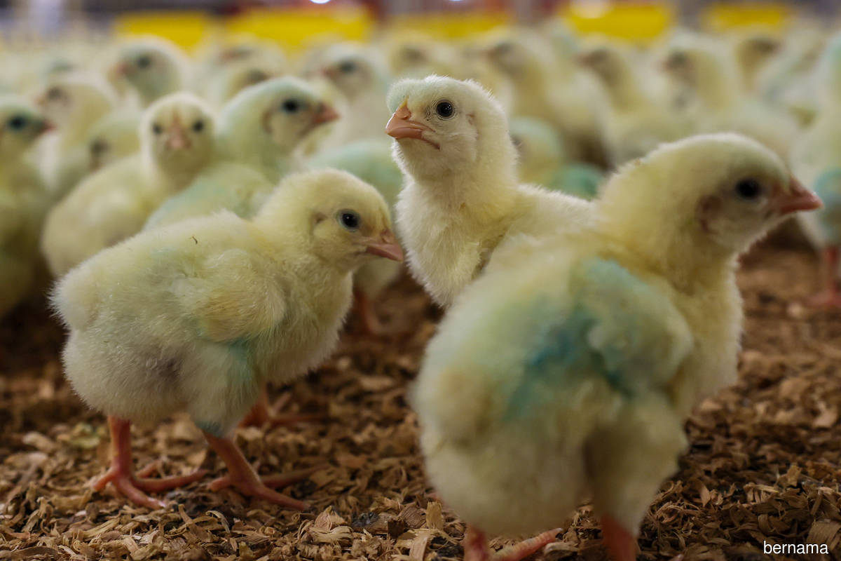 Leong Hup posts record earnings for 2023 despite lower 4Q profit