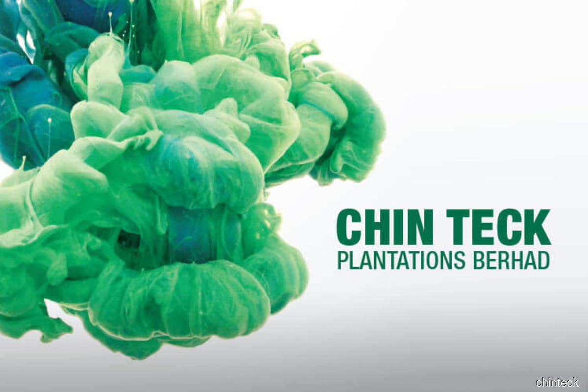 Chin Teck Plantations warns of volatile CPO prices ahead after 79% drop ...