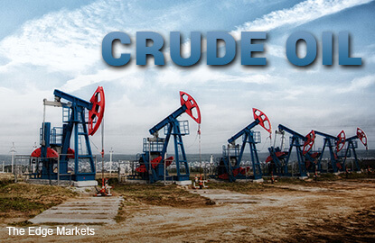 Oil rises, but faces prospect of growing U.S. output