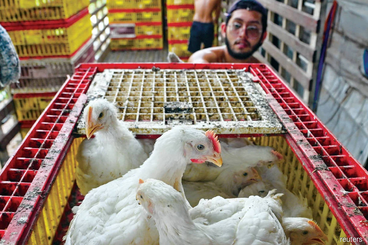 Food: Imperative to ensure self-sufficiency in food supply