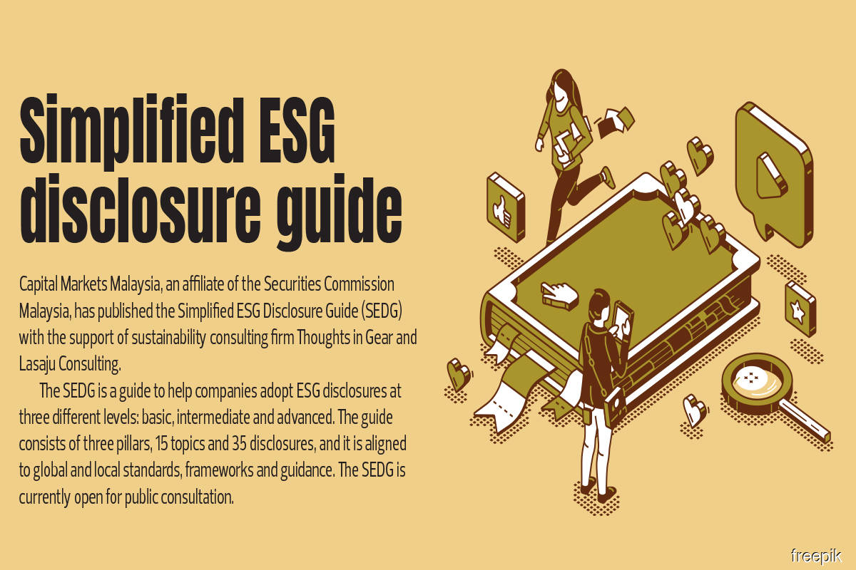 Simplified ESG disclosure guide