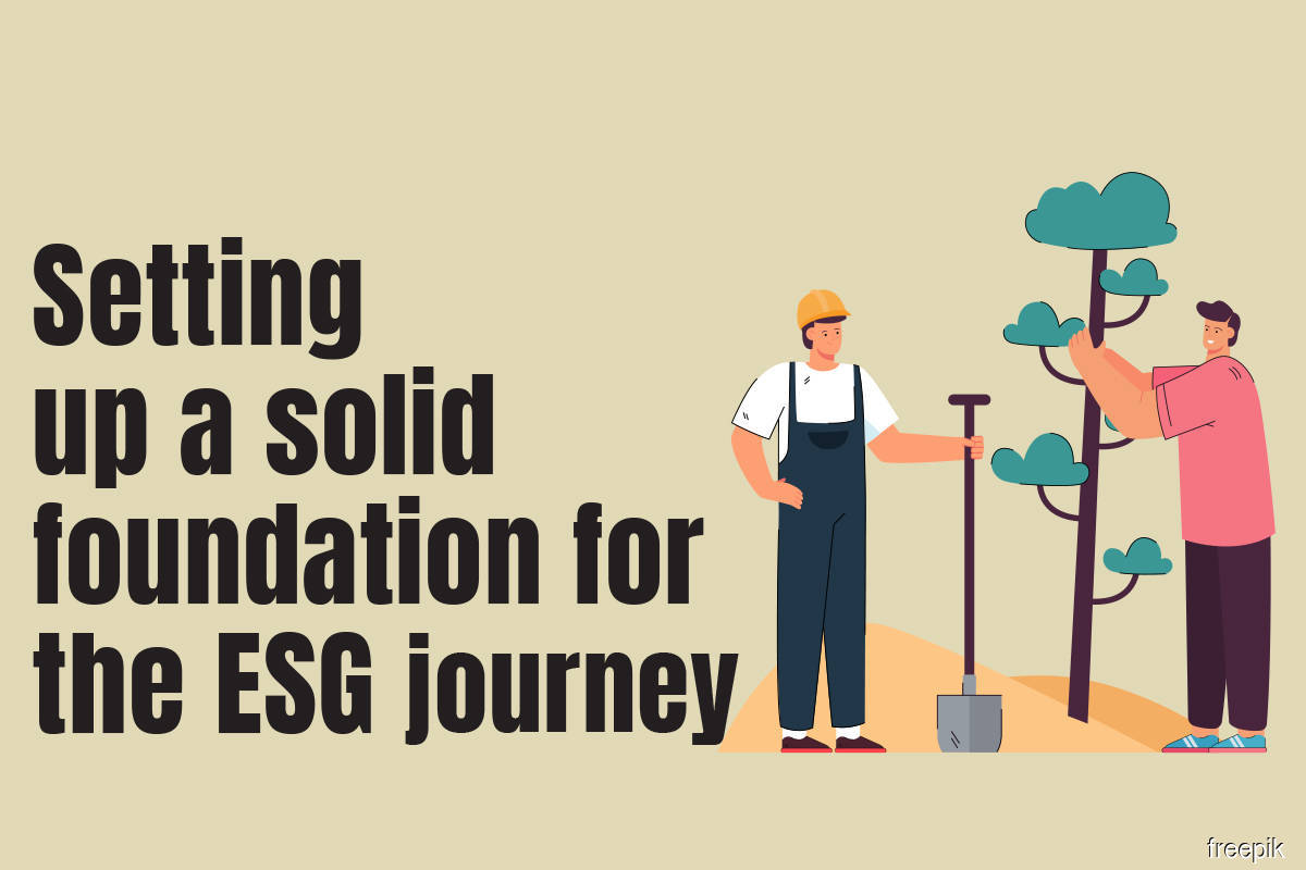 Setting up a solid foundation for the ESG journey