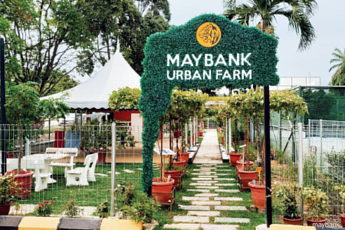 Banks: Bankers who farm