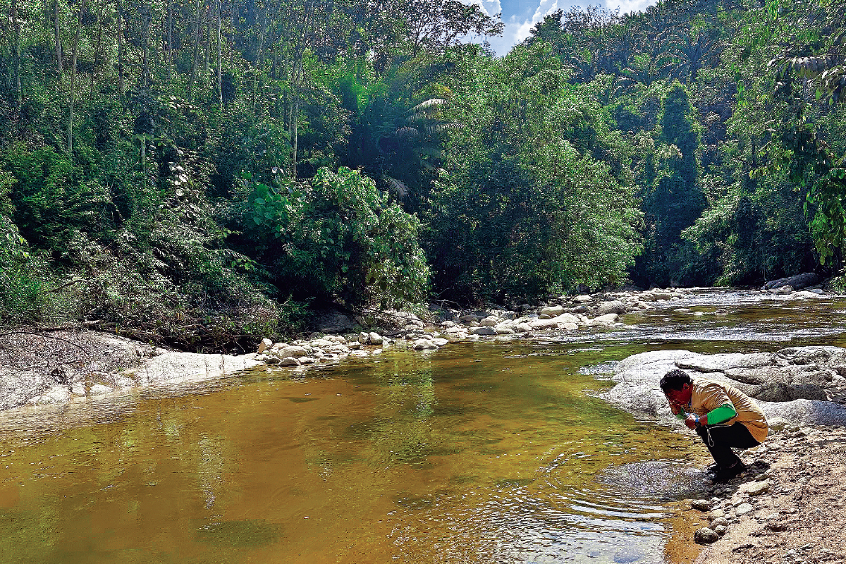 Environment: Empowering indigenous communities through tourism and ...