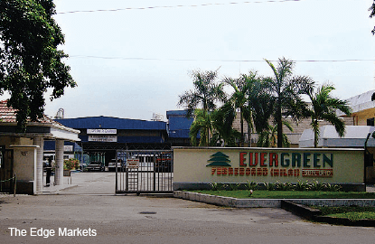 Strong earnings prospects seen for Evergreen