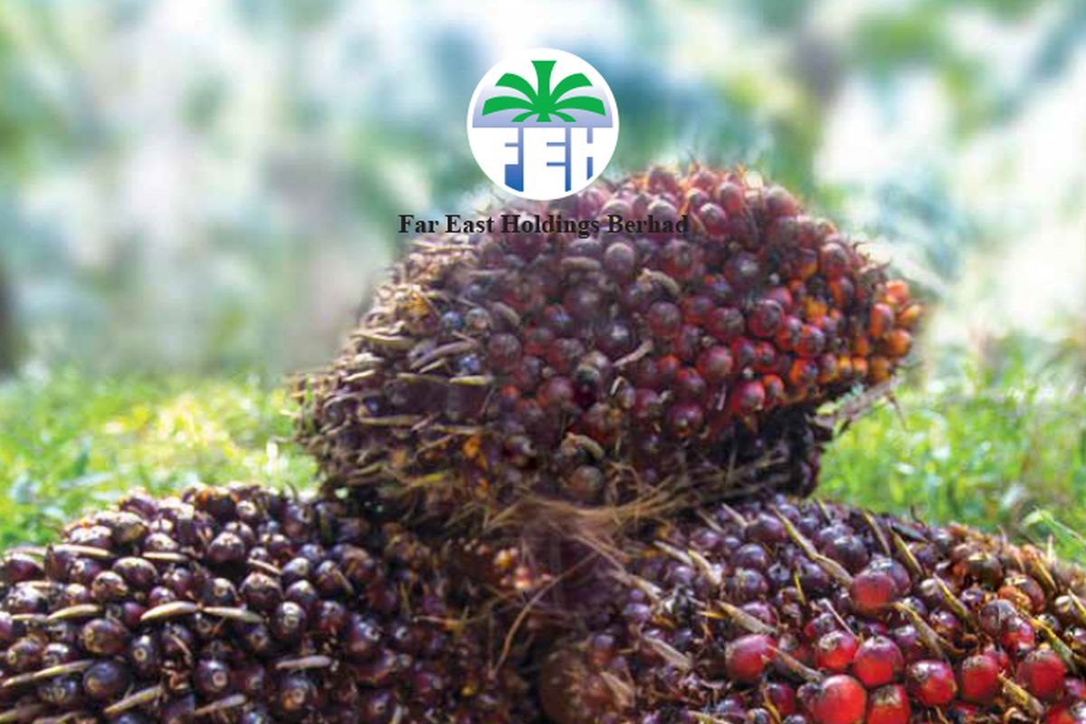 Far East 2Q net profit soars to RM70.18 mil on higher CPO, PK prices ...