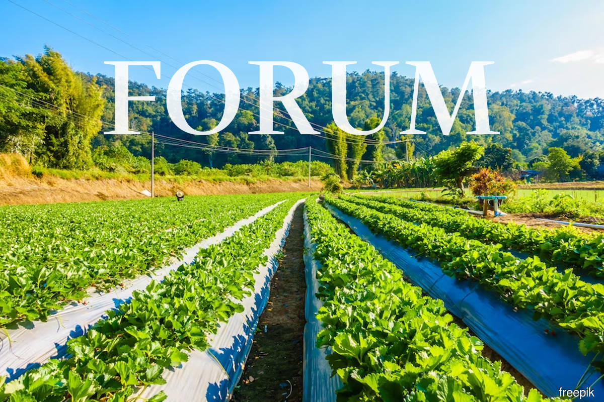 My Say: Small farms hold the key to sustainable food production