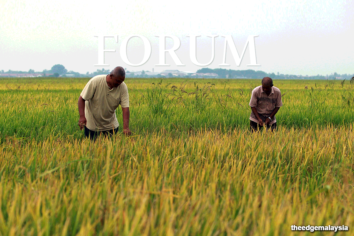MySay: New approaches urgently needed to tackle resurgent social crises