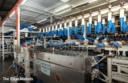 Cover Story: Glove makers no longer clear beneficiaries of stronger US ...