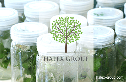 Halex now plans two-call rights issue to raise up to RM40m