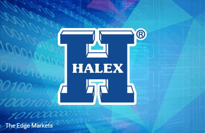 Stock With Momentum: Halex Holdings