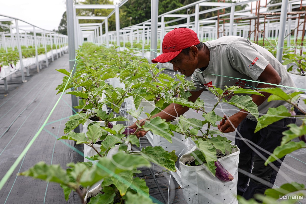 IPR-Intan NCER expected to contribute to country's agricultural ...