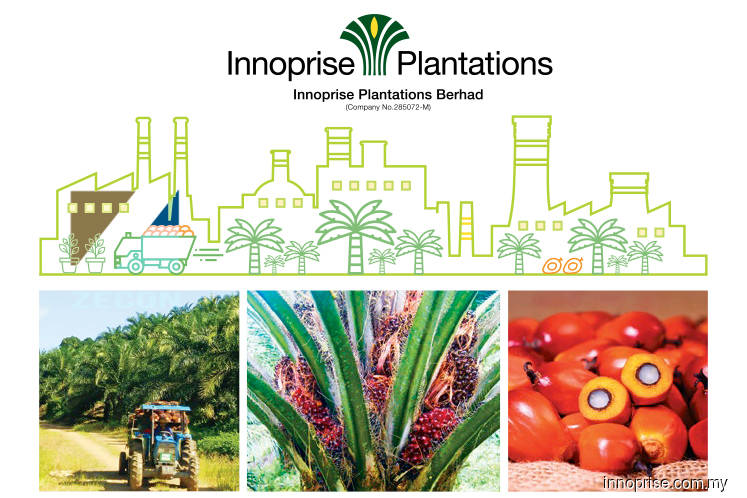 Innoprise gains 11.11% on higher palm prices