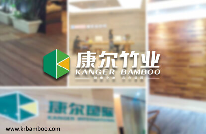 Setiakon downplays possibility of Kanger RTO