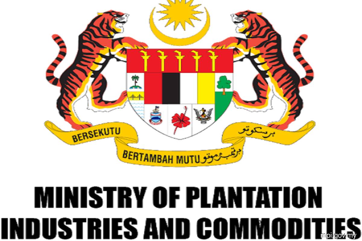 MPIC plans to use big data analytics to streamline commodity sectors ...