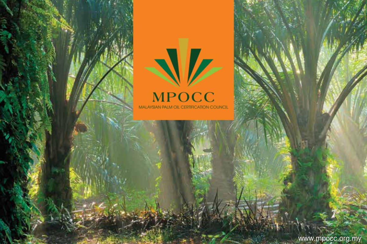 Workers rights protected under MSPO scheme but cultural challenges ...