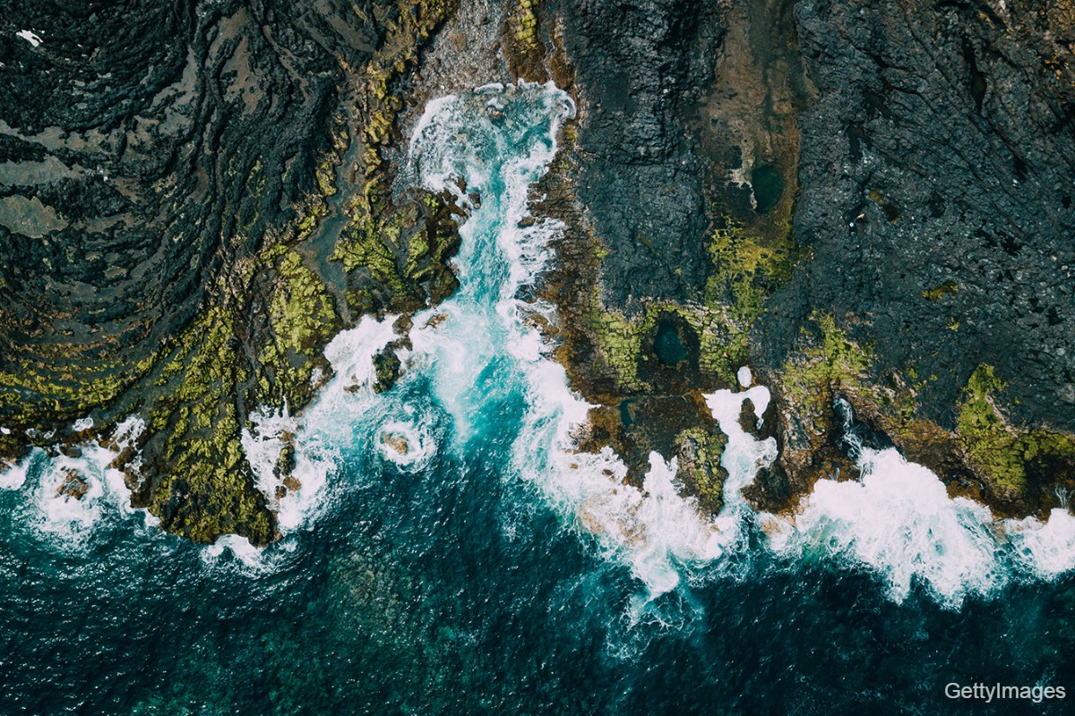 Investing in Southeast Asia’s future: sustainability trends shaping 2025