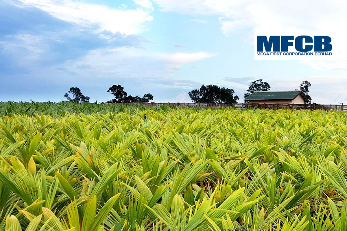 Mega First's 3Q net profit rises 14% boosted by renewable energy and ...