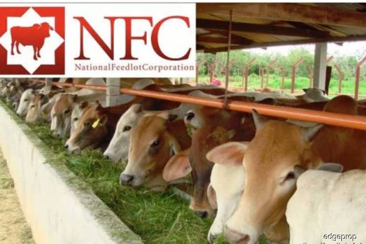 High Court allows NFC to amend defence, file counterclaim against govt ...