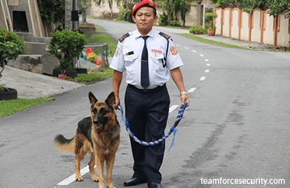 40,000 illegals working as guards, says report