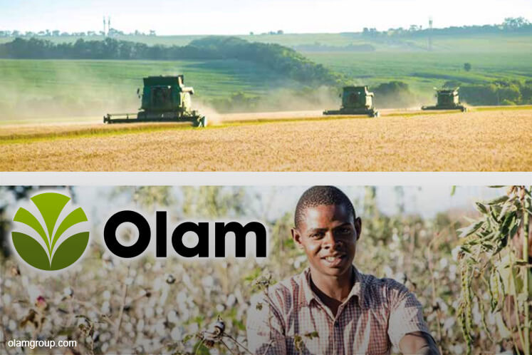 Olam at three-year high after Temasek stake boost