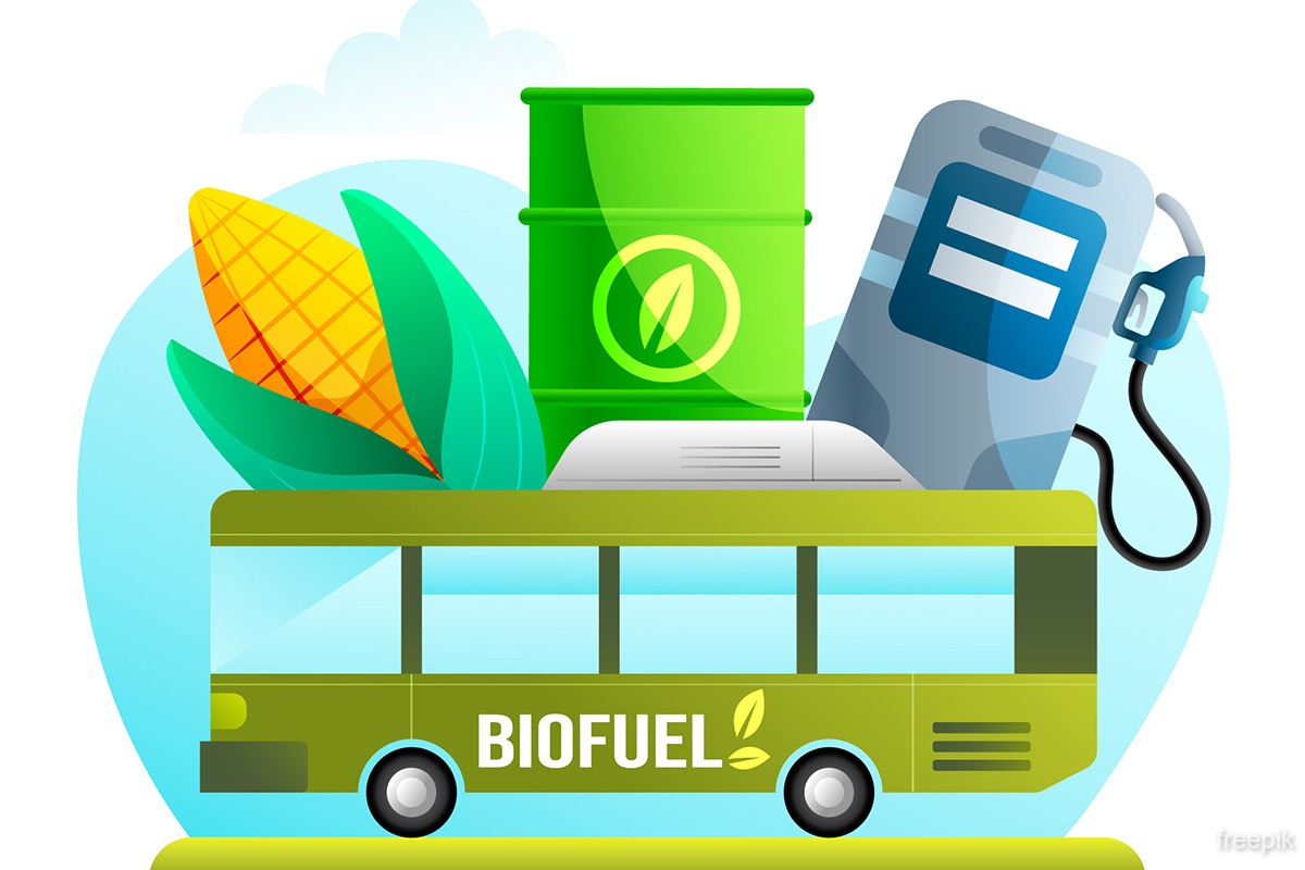 Biodiesel B100 has potential to be strategic alternative for nation's ...