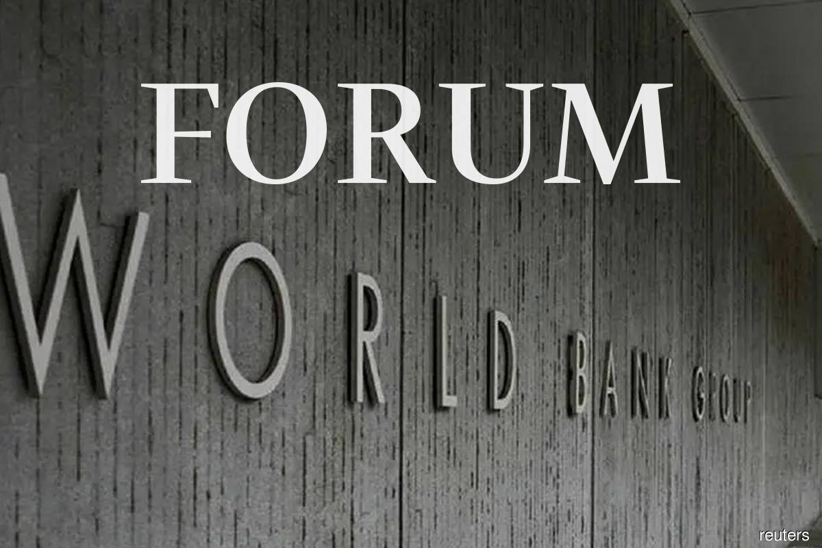 My Say: World Bank enables private capture of profits, public resources