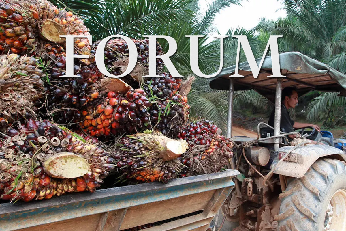 Tek Talks: How youth, cartoons and algorithms may yet save palm oil’s soul
