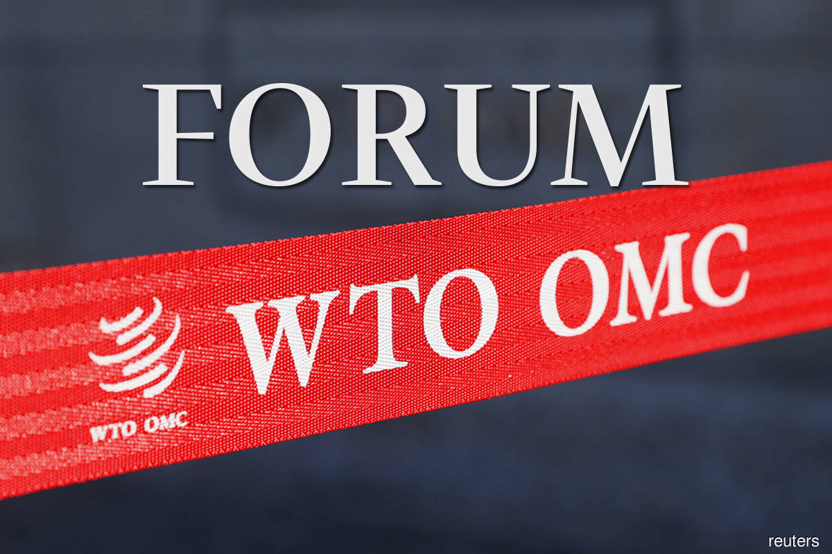 My Say: WTO should be reformed, not abolished