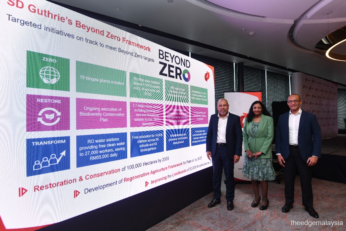 SD Guthrie sees palm oil prices moderating this year as supply concern ...