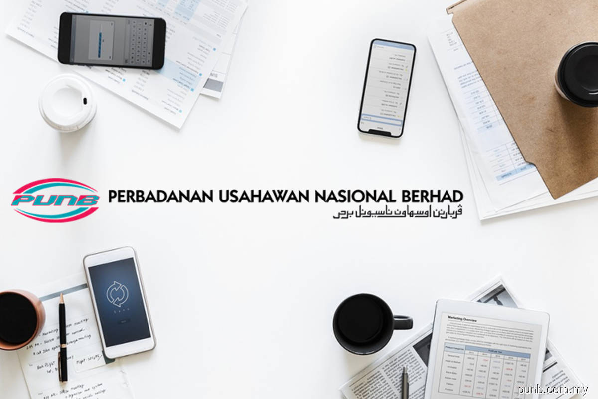 PUNB to introduce financing scheme for individuals affected by Covid-19 ...