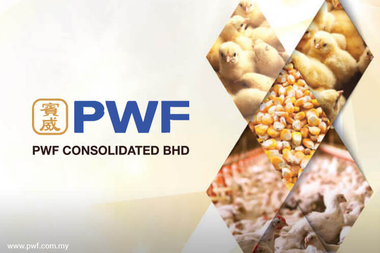 PWF Consolidated rises 2.68% on positive technicals