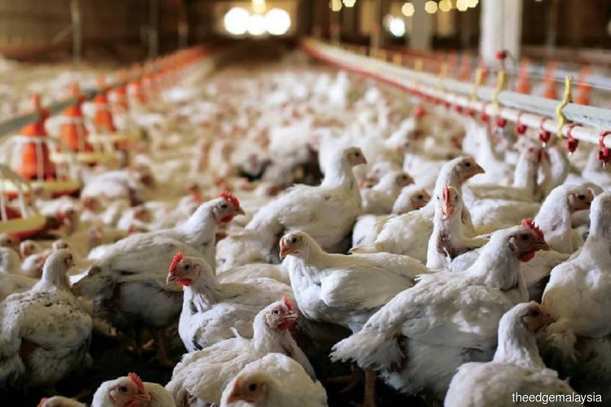 PWF Corp proposes one-for-three bonus issue